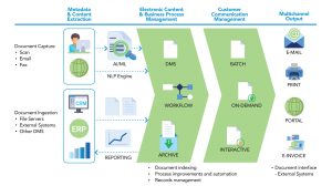 Business Process Transformation – SoftSol